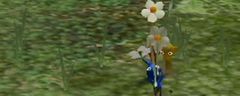 Nectar weed - Pikipedia, the Pikmin wiki