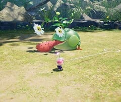 Creeping Chrysanthemum - Pikipedia, the Pikmin wiki