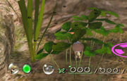 Clover - Pikipedia, the Pikmin wiki