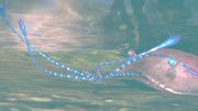 Toady Bloyster - Pikipedia, the Pikmin wiki