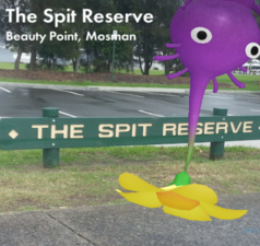 Postcard - Pikipedia, the Pikmin wiki