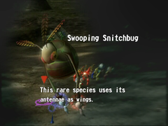 Swooping Snitchbug - Pikipedia, the Pikmin wiki