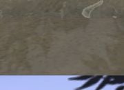 Water - Pikipedia, the Pikmin wiki