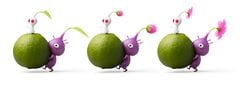 Purple Pikmin - Pikipedia, the Pikmin wiki