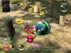 Creeping Chrysanthemum - Pikipedia, the Pikmin wiki