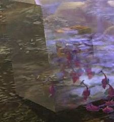 Category:Formidable Oak images - Pikipedia, the Pikmin wiki