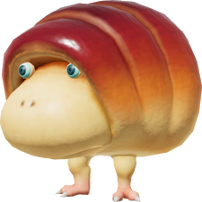Breadbug family - Pikipedia, the Pikmin wiki