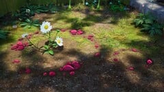 Creeping Chrysanthemum - Pikipedia, the Pikmin wiki