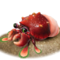 Hermit Crawmad - Pikipedia, the Pikmin wiki