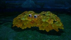 Jumbo Bulborb - Pikipedia, the Pikmin wiki