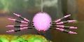 Shooting Spiner (Female) - Pikipedia, the Pikmin wiki