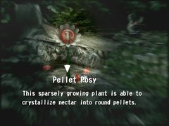 Pellet Posy - Pikipedia, the Pikmin wiki