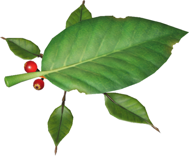 Skitter Leaf - Pikipedia, the Pikmin wiki