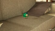 Moss - Pikipedia, the Pikmin wiki