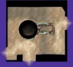 Submerged Castle - Pikipedia, the Pikmin wiki