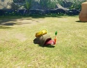 Gildemandwee - Pikipedia, the Pikmin wiki