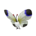 Spectralids - Pikipedia, the Pikmin wiki