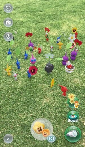 Pikmin Bloom interface - Pikipedia, the Pikmin wiki