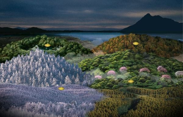 newtest - Pikipedia, the Pikmin wiki