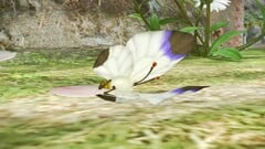 White Spectralids - Pikipedia, the Pikmin wiki