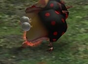 Dwarf Bulbear - Pikipedia, the Pikmin wiki
