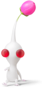 White Pikmin - Pikipedia, the Pikmin wiki