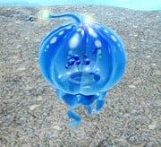 Lesser Spotted Jellyfloat - Pikipedia, the Pikmin wiki