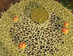 Sticky mold - Pikipedia, the Pikmin wiki