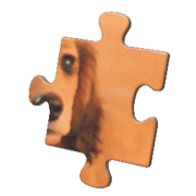 Memory Fragment Series - Pikipedia, the Pikmin wiki