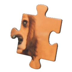 Memory Fragment Series - Pikipedia, the Pikmin wiki