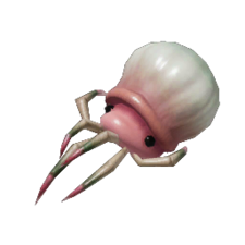 Mitite family - Pikipedia, the Pikmin wiki