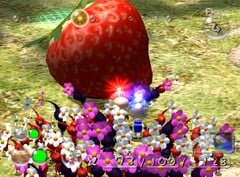 Combustion Berry - Pikipedia, the Pikmin wiki