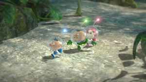 Koppai - Pikipedia, the Pikmin wiki