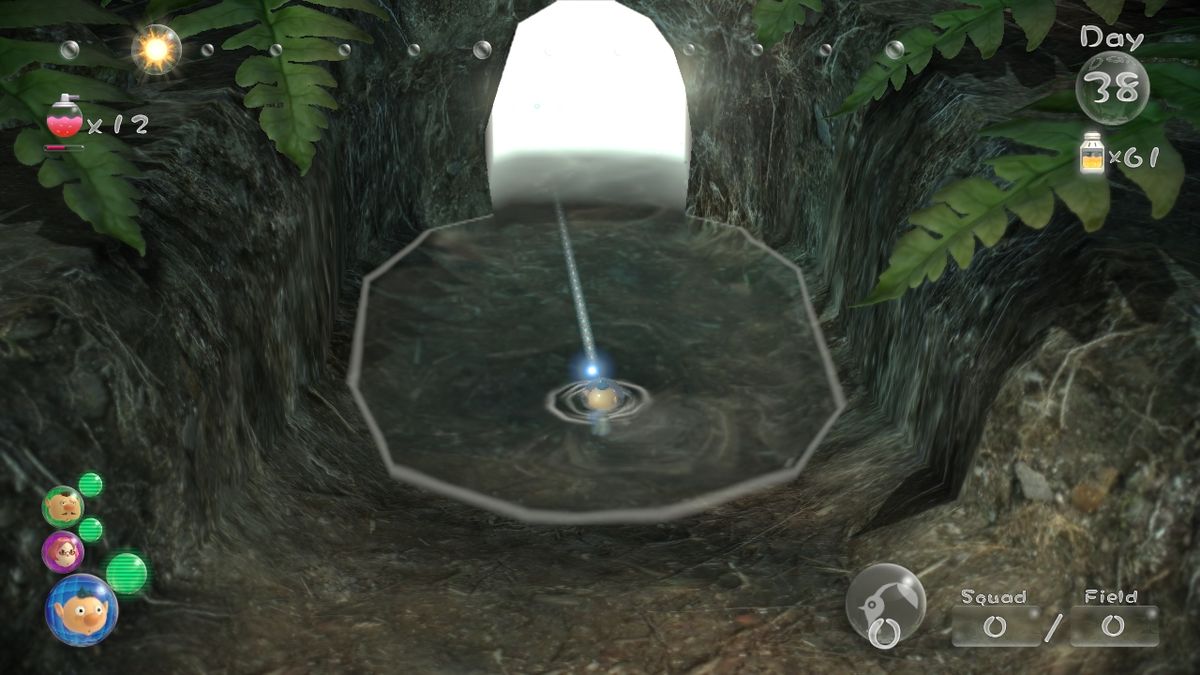 File:Tropical Wilds cave entrance.jpg - Pikipedia, the Pikmin wiki