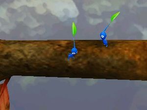 Downpour Thicket - Pikipedia, the Pikmin wiki
