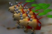 Bulbmin - Pikipedia, the Pikmin wiki