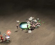 Iridescent Flint Beetle - Pikipedia, the Pikmin wiki