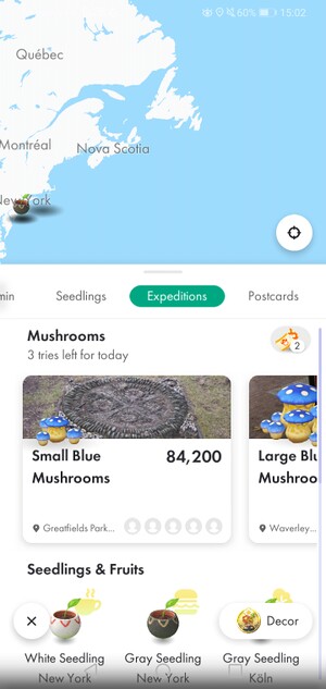 Pikmin Bloom interface - Pikipedia, the Pikmin wiki