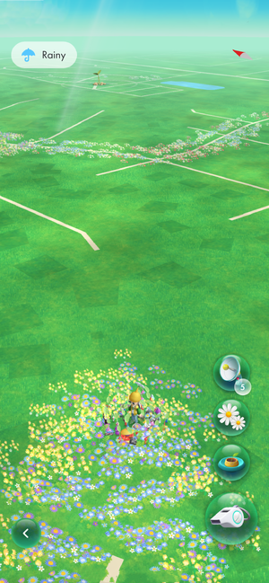 Pikmin Bloom interface - Pikipedia, the Pikmin wiki