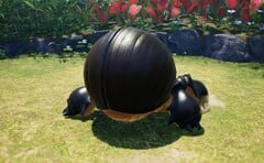 Horned Cannon Beetle - Pikipedia, the Pikmin wiki