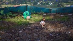 Moss - Pikipedia, the Pikmin wiki