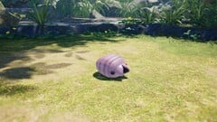 Mama Sheargrub - Pikipedia, the Pikmin wiki