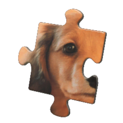 Memory Fragment Series - Pikipedia, the Pikmin wiki