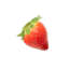Sunseed Berry - Pikipedia, the Pikmin wiki