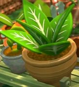 Pikmin Adventure vegetation - Pikipedia, the Pikmin wiki