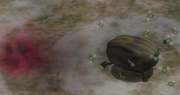Doodlebug - Pikipedia, the Pikmin wiki