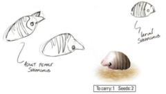 Female Sheargrub - Pikipedia, the Pikmin wiki