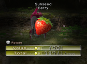 Sunseed Berry - Pikipedia, the Pikmin wiki