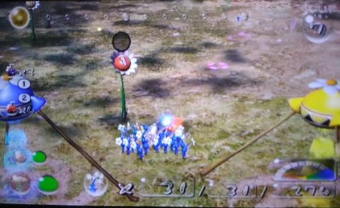Glitches in Pikmin 2 - Pikipedia, the Pikmin wiki