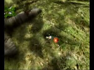 User:Redpikminflamethrower - Pikipedia, the Pikmin wiki